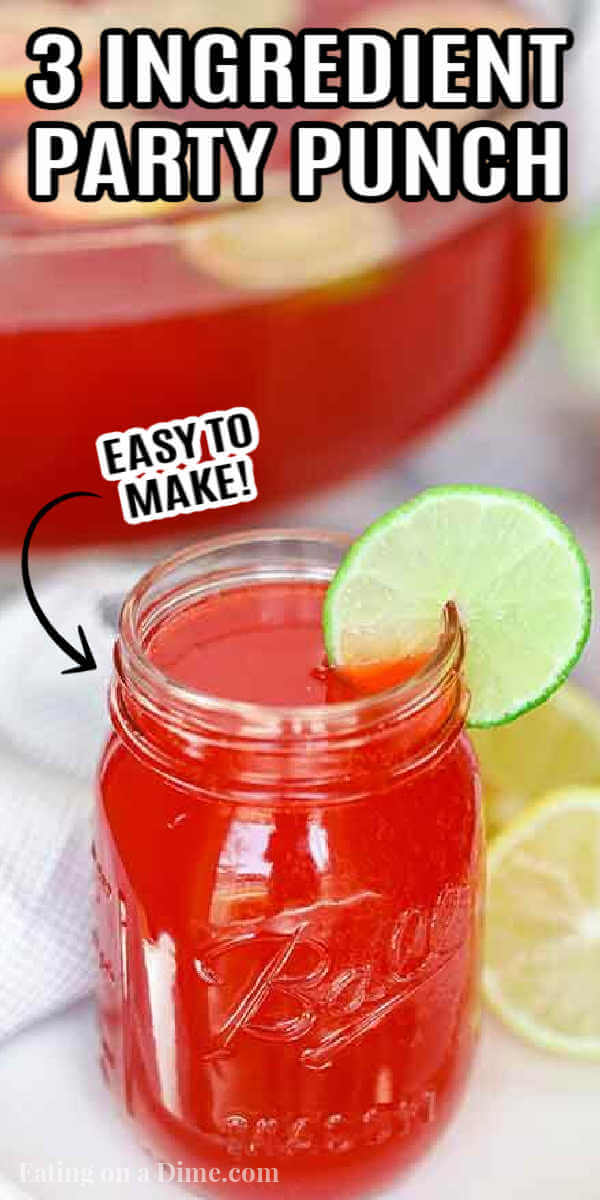 Best Party Punch Recipe Party Punch Recipe With 3 Ingredients