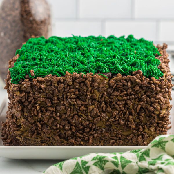 Best Minecraft Birthday Cakes - Eating on a Dime