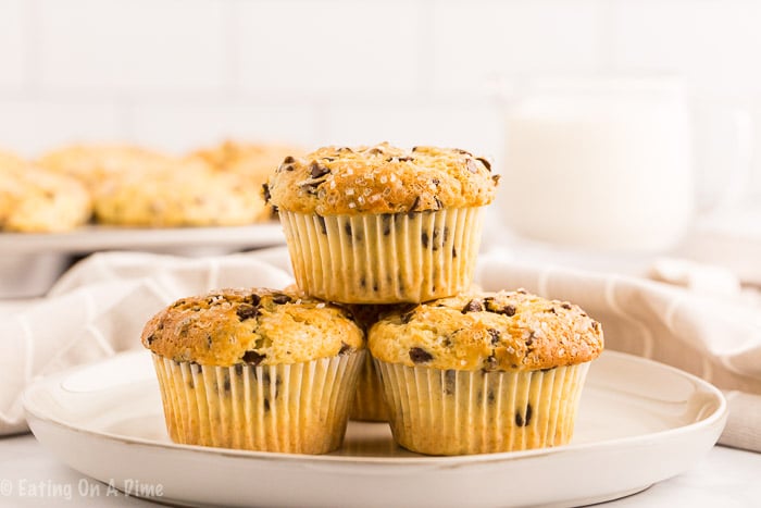 Chocolate Chip Muffin Recipe - Quick and Easy Muffins