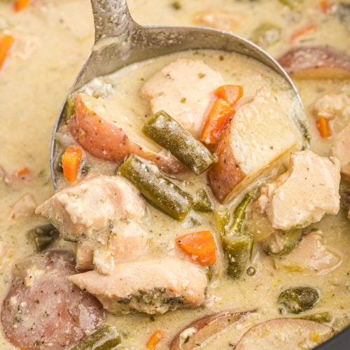 Slow Cooker Creamy Chicken Stew Recipe - Chicken Stew Recipe