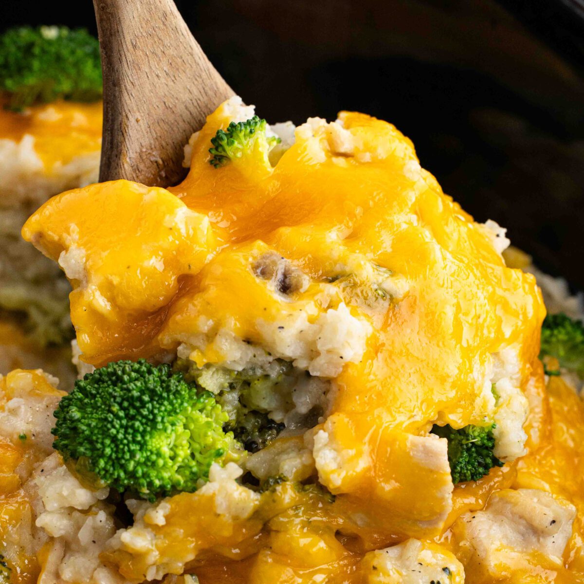 Crock Pot Chicken Broccoli Rice Casserole - Eating on a Dime