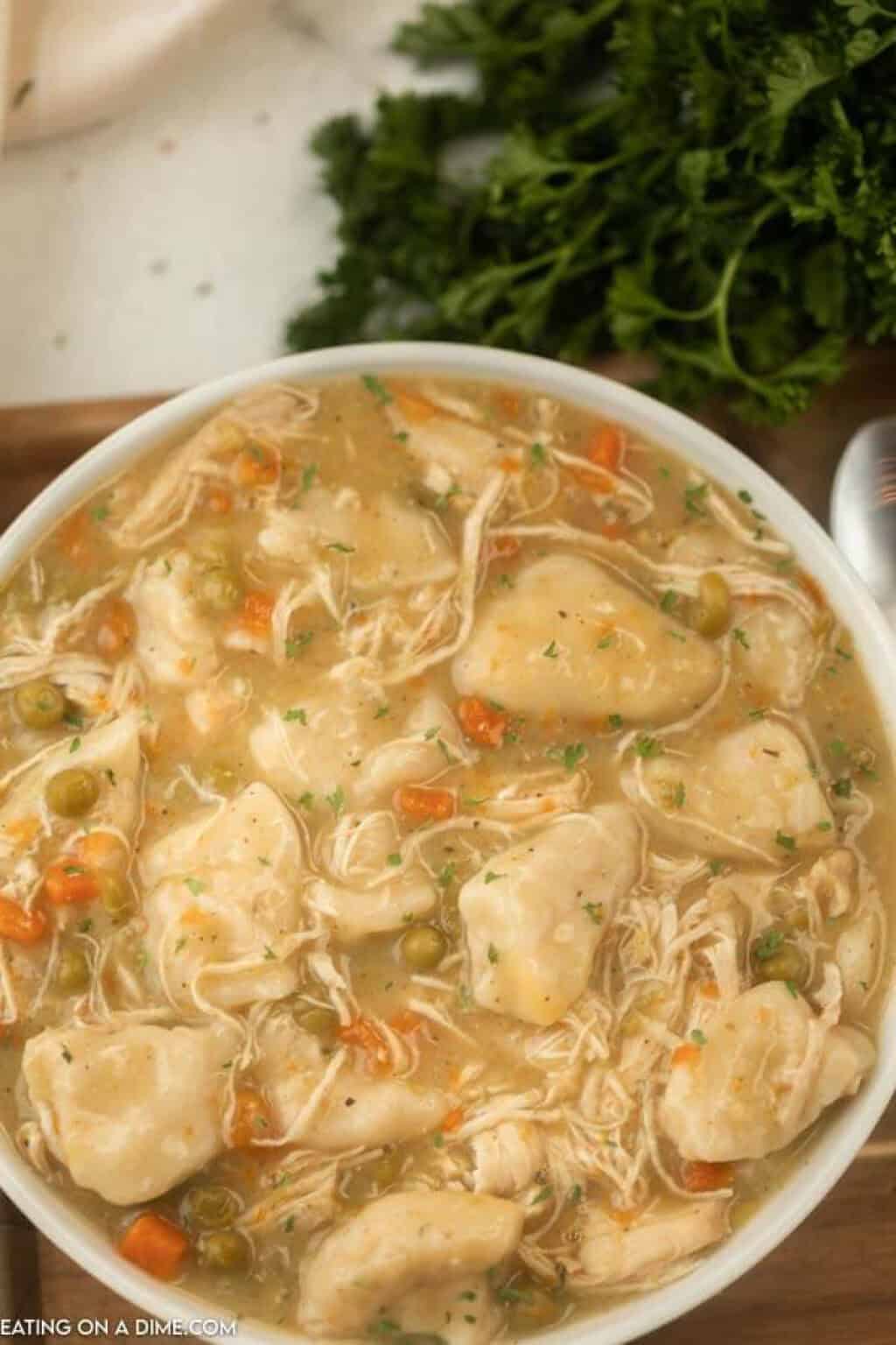 Instant pot chicken and dumplings (& VIDEO!) - ready in minutes!