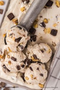 Chunky Monkey Ice Cream Recipe - Eating on a Dime