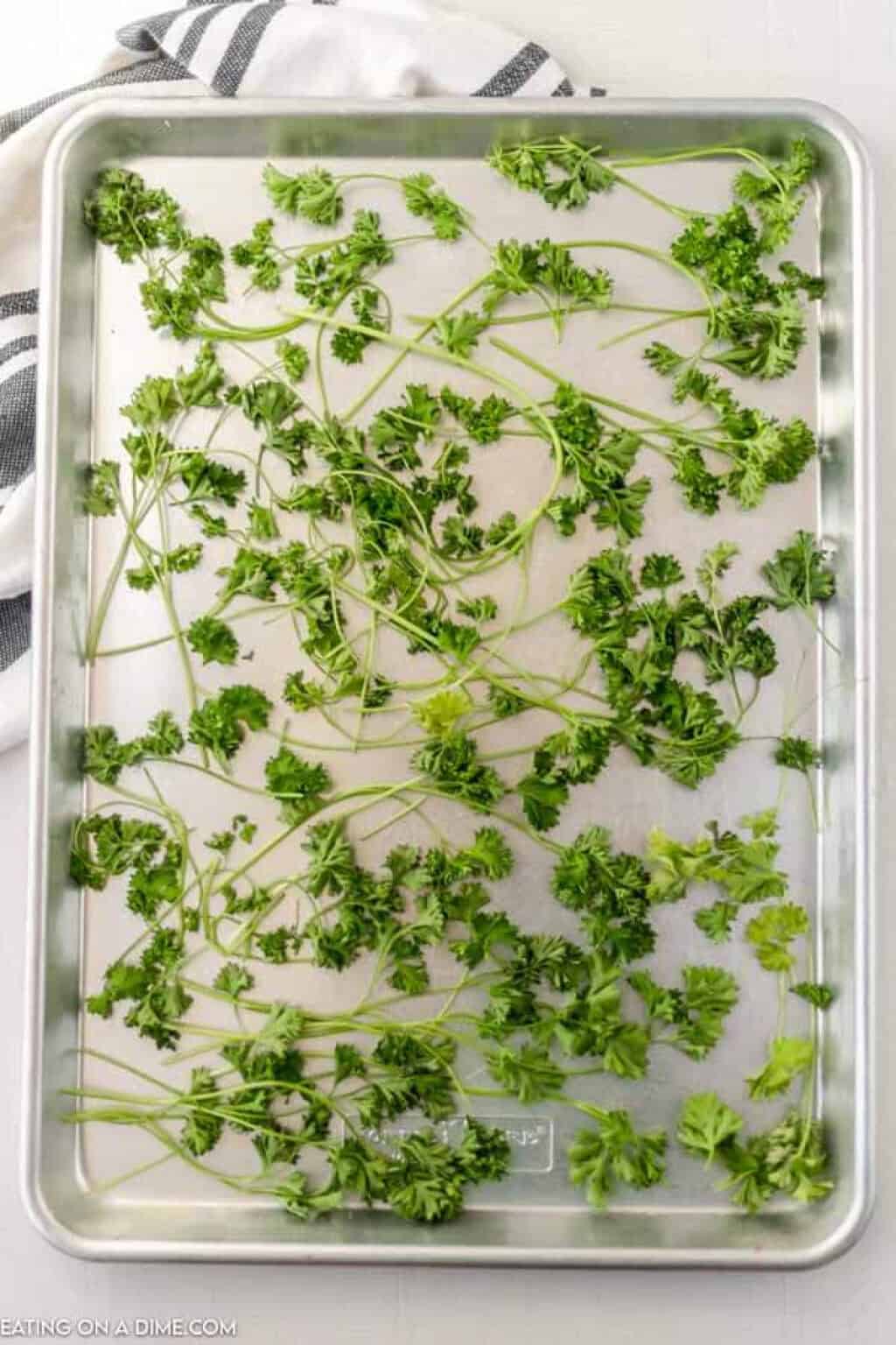 How to Dry Parsley in the Oven - Eating on a Dime