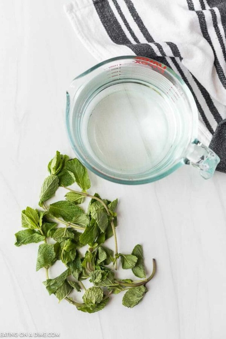 Mint Water Recipe - Refreshing Mint Water