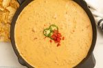 Rotel Dip Made Easy with Just Three Ingredients