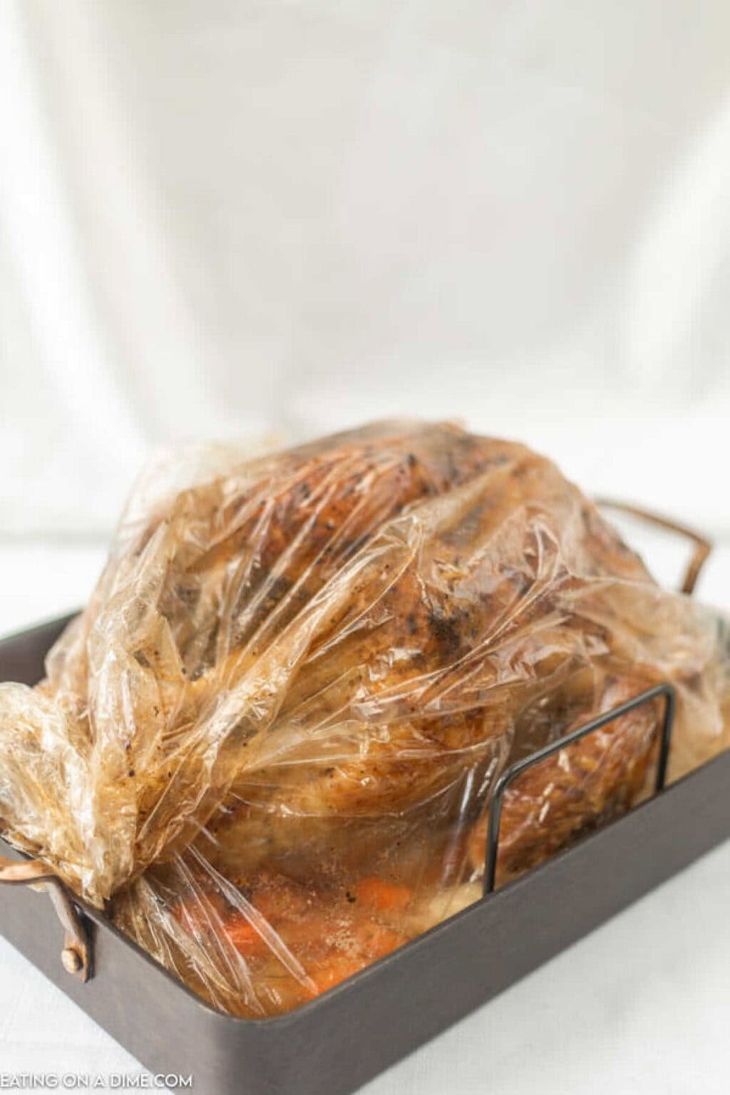 How to Cook a Turkey in a Bag - Eating on a Dime
