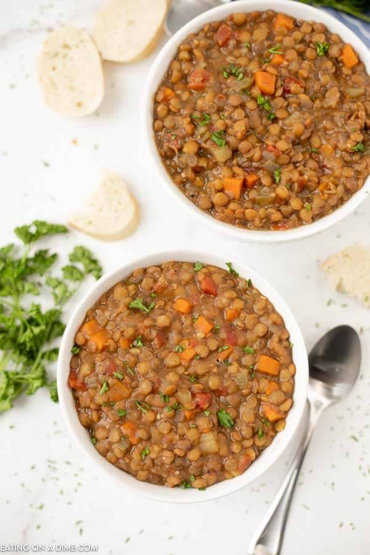 Slow cooker lentil recipes store