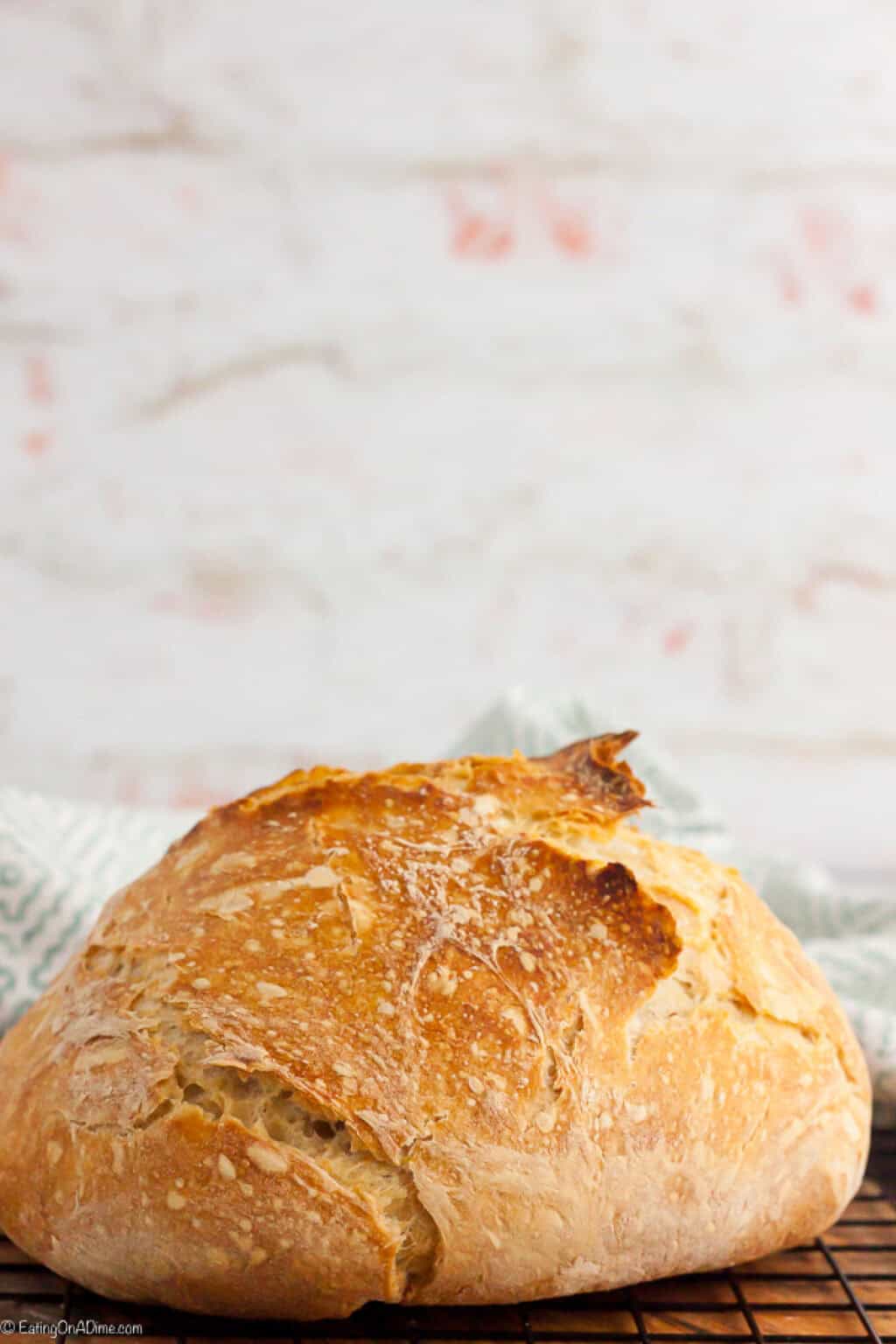 Artisan Bread Recipe (& VIDEO!) - fast easy artisan bread recipe