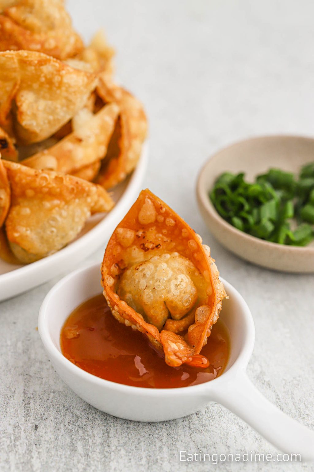 Fried Wonton Recipe - Eating on a Dime