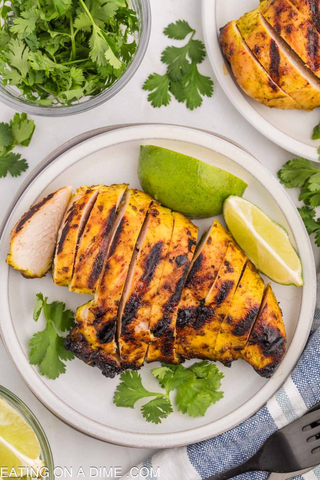 Chicken Curry Marinade - Eating on a Dime