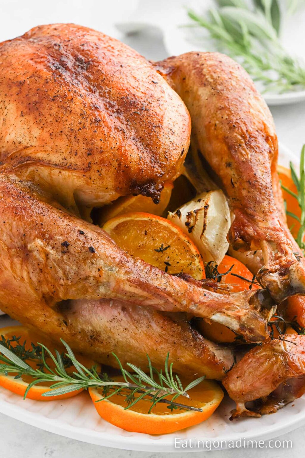 Christmas Turkey - Eating on a Dime