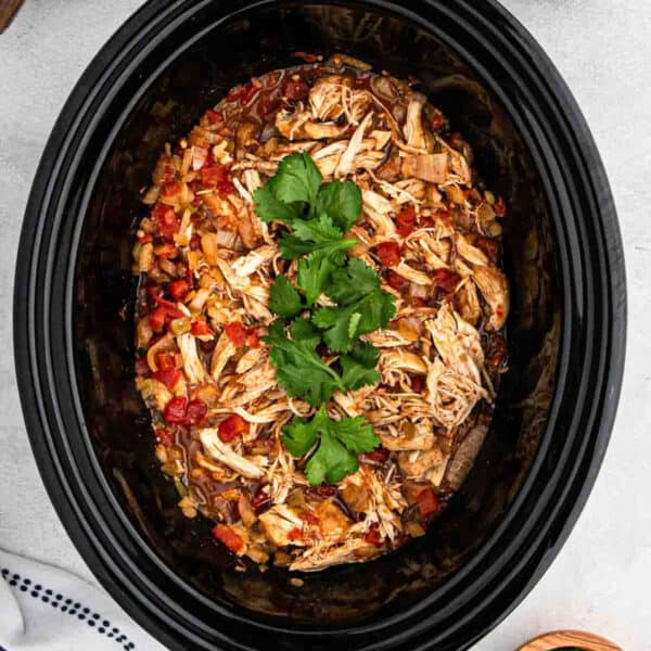 Crock Pot Mexican Shredded Chicken Recipe