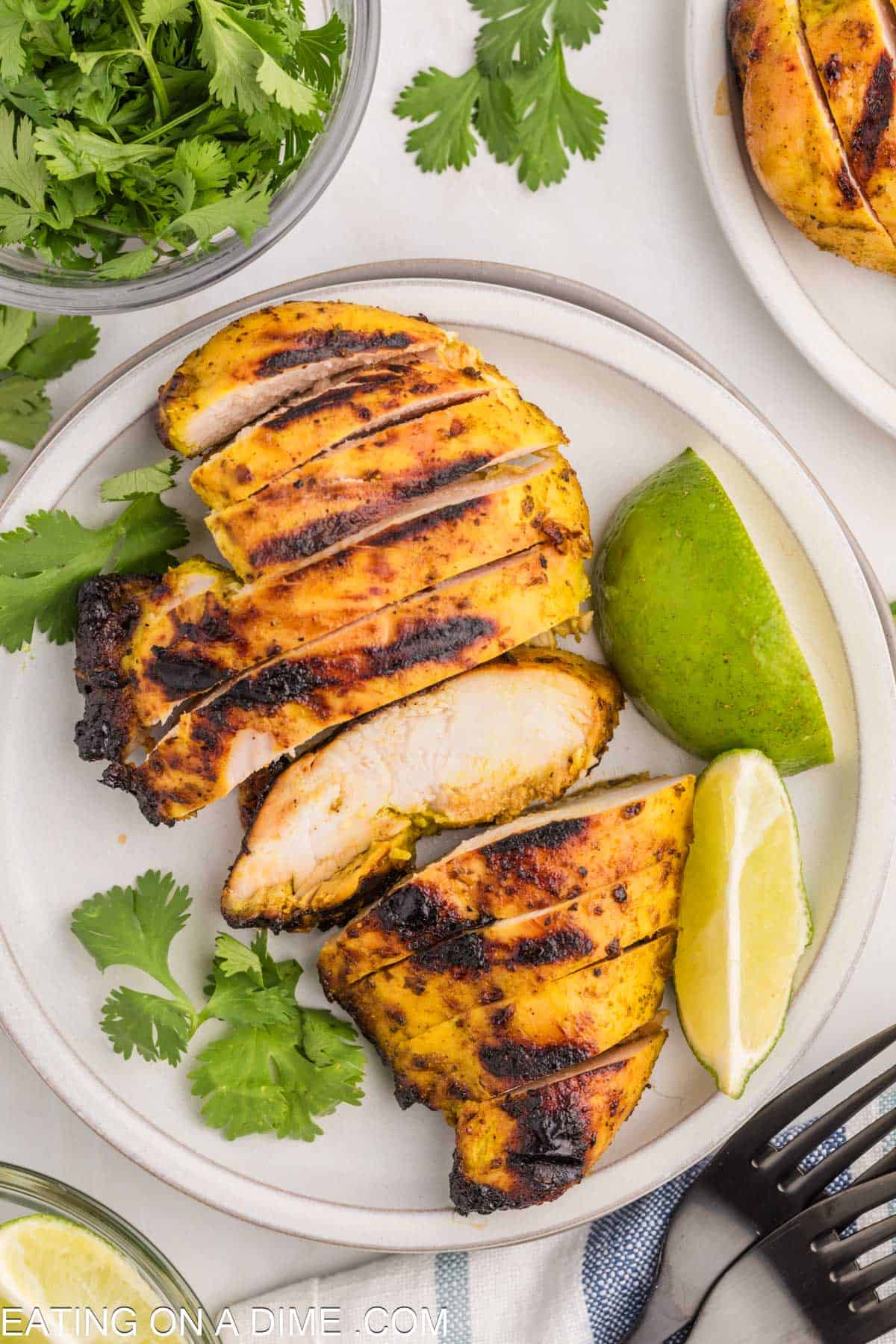 Chicken Curry Marinade - Eating on a Dime