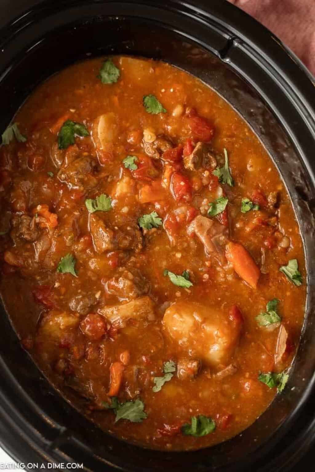 Slow Cooker Mexican Beef Stew - Eating on a Dime