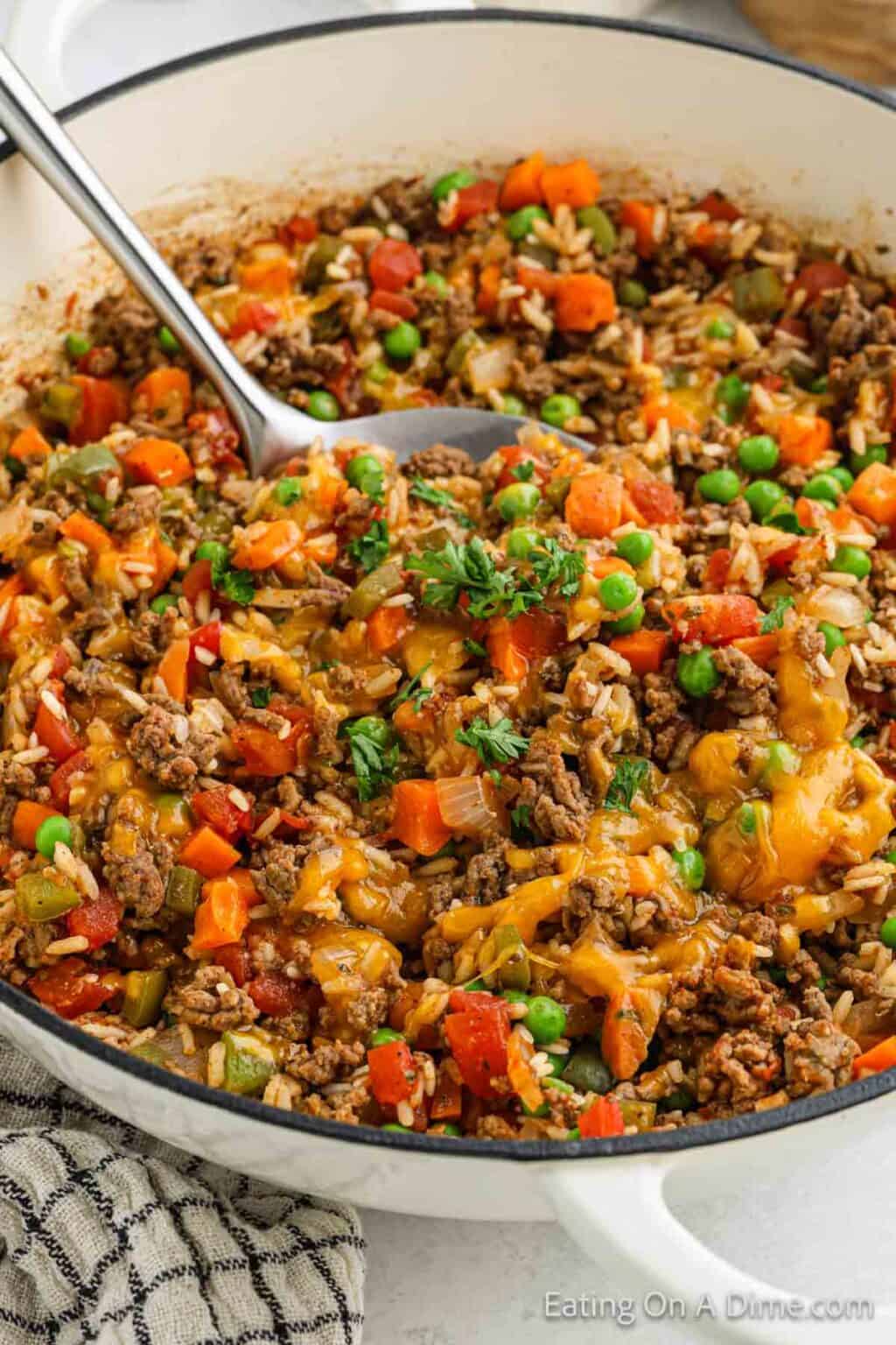 Beef and Rice Recipe - Eating on a Dime